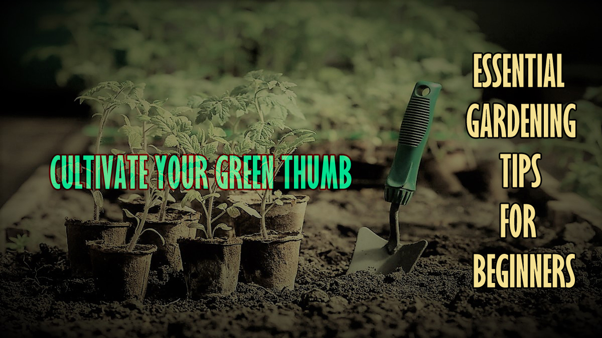 Best Gardening Tips for Beginners: Cultivate Your Green Thumb - Dwell ...