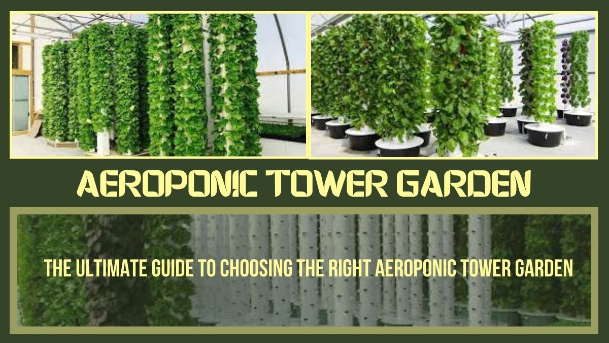 The Ultimate Guide to Choosing the Right Aeroponic Tower Garden - Dwell ...