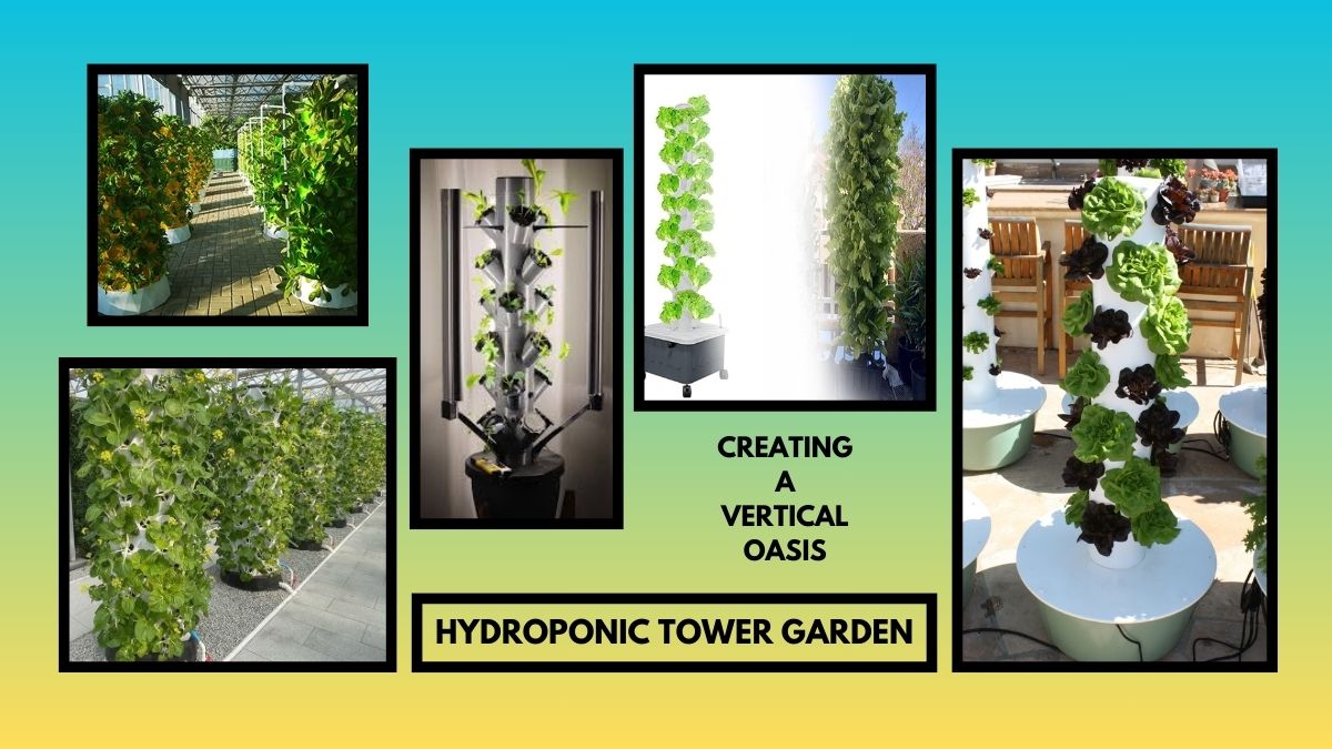 Creating a Vertical Oasis: The Beauty of Hydroponic Tower Garden ...