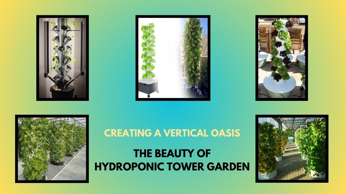 Creating a Vertical Oasis: The Beauty of Hydroponic Tower Garden ...