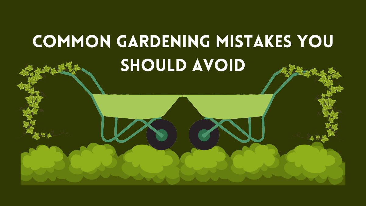 The Top 10 Common Gardening Mistakes You Should Avoid - Dwell Gardens