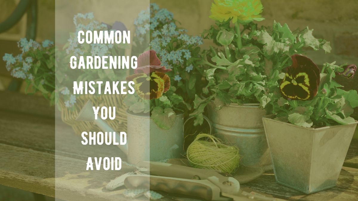 The Top 10 Common Gardening Mistakes You Should Avoid - Dwell Gardens