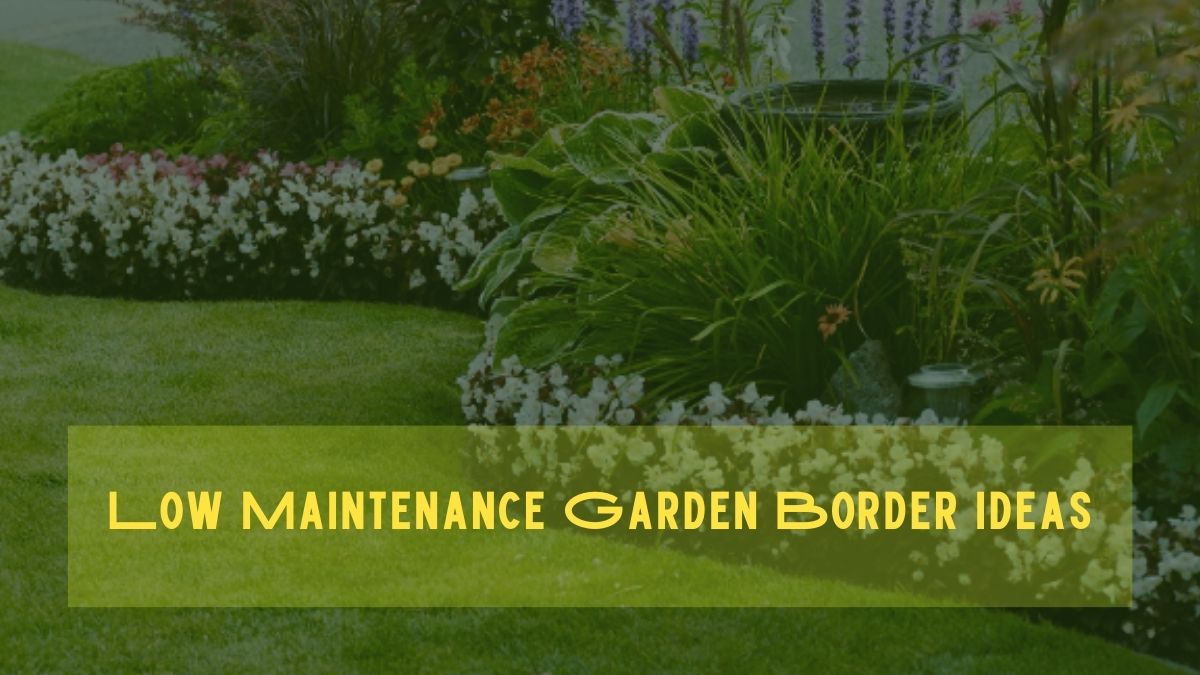 Low Maintenance Garden Border Ideas: A Complete Guide to Know Dwell Gardens