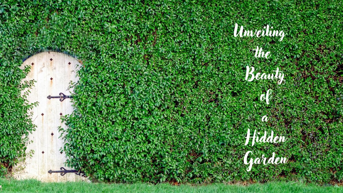 Unveiling the Beauty of a Hidden Garden - Dwell Gardens
