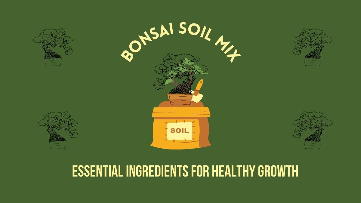 Bonsai Soil Mix: Essential Ingredients for Healthy Growth - Dwell Gardens