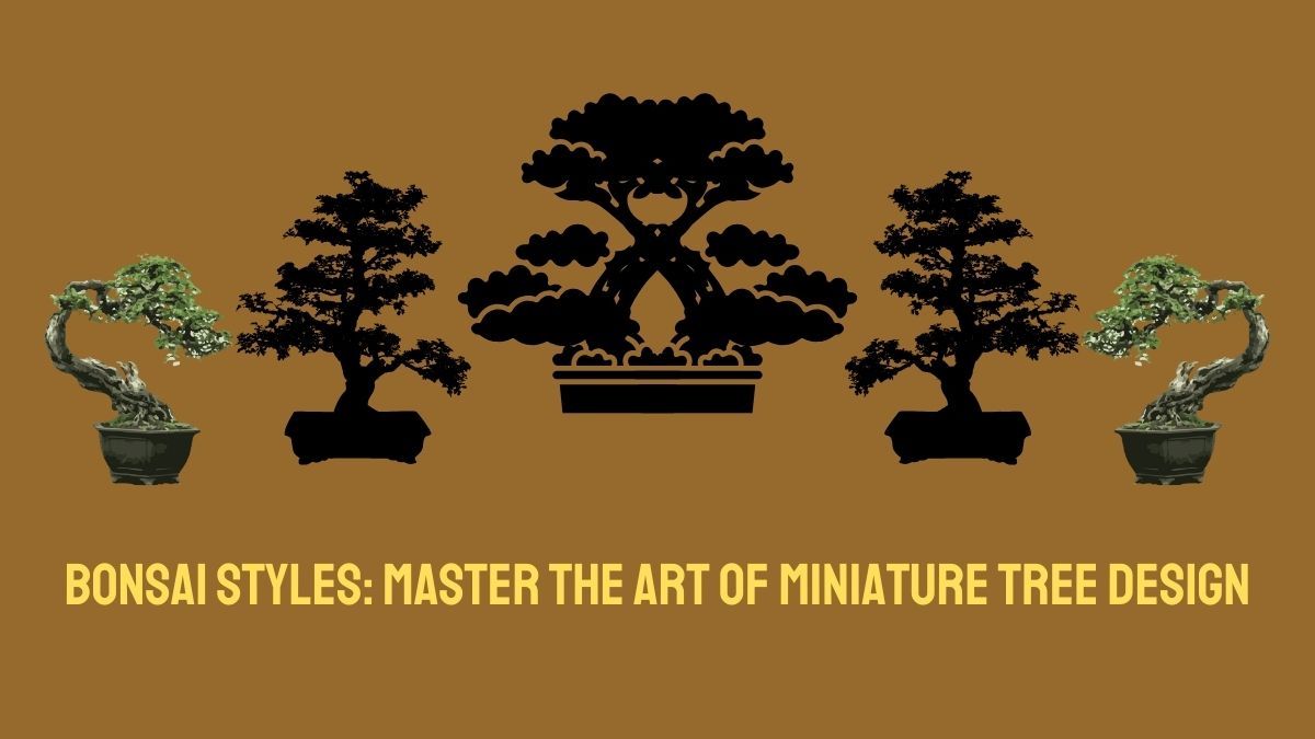 Bonsai Styles: Master the Art of Miniature Tree Design - Dwell Gardens